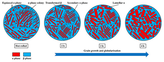 Effect of Aging Treatment on Microstructural Evolution and Mechanical ...