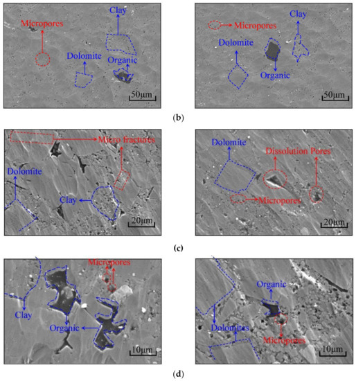 The Characteristic and Distribution of Shale Micro-Brittleness Based on ...