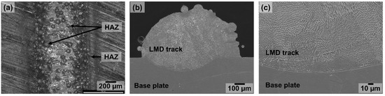 Microstructural Features, Defects, and Corrosion Behaviour of 316L ...