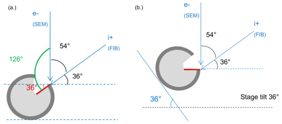 Characterization of the Native Oxide Shell of Copper Metal Powder ...