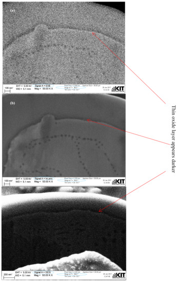 Characterization of the Native Oxide Shell of Copper Metal Powder ...