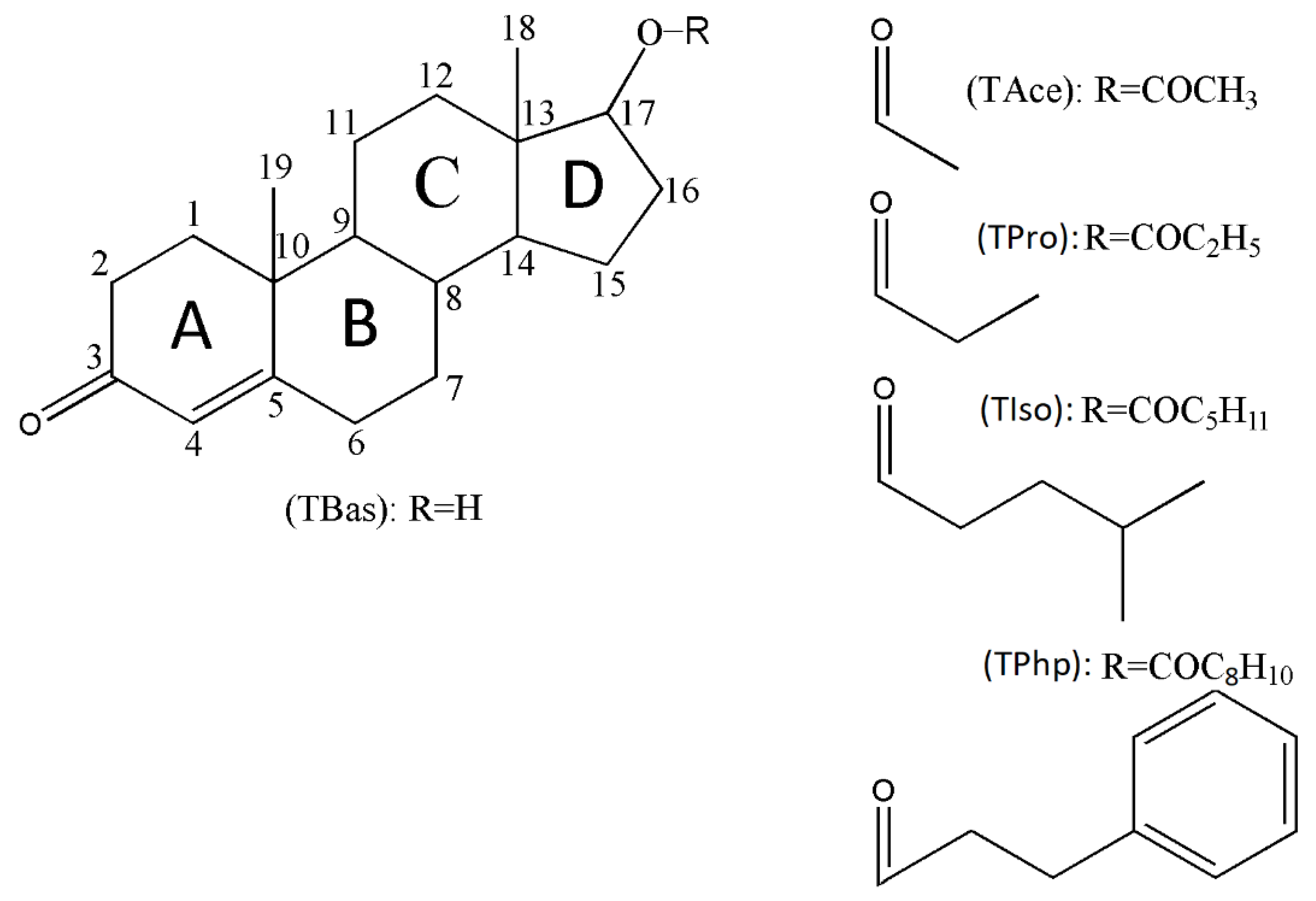 Testosterone Structure