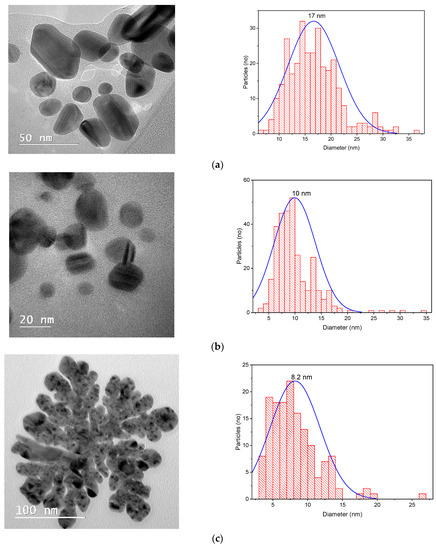 Phytosynthesis of Biological Active Silver Nanoparticles Using Echinacea purpurea L. Extracts