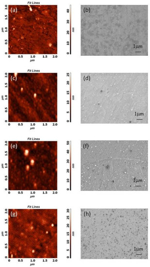 The Influence of Plasma Treatment on the Corrosion and Biocompatibility ...