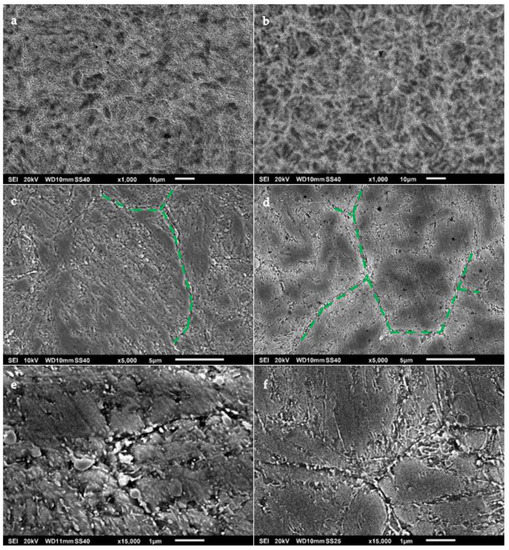 An Experimental Analysis of the High-Cycle Fatigue Fracture of H13 Hot ...