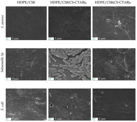 Influence of Quaternary Ammonium Salt Functionalized Chitosan Additive as Sustainable Filler for ...