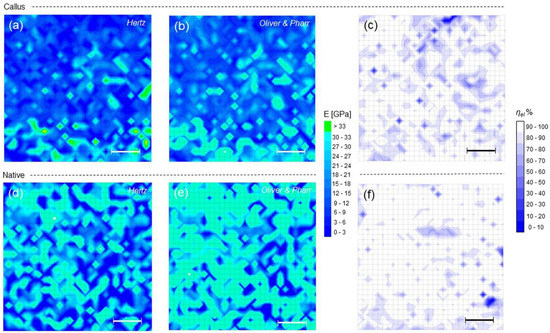 Nanomechanical Mapping of Hard Tissues by Atomic Force Microscopy: An ...