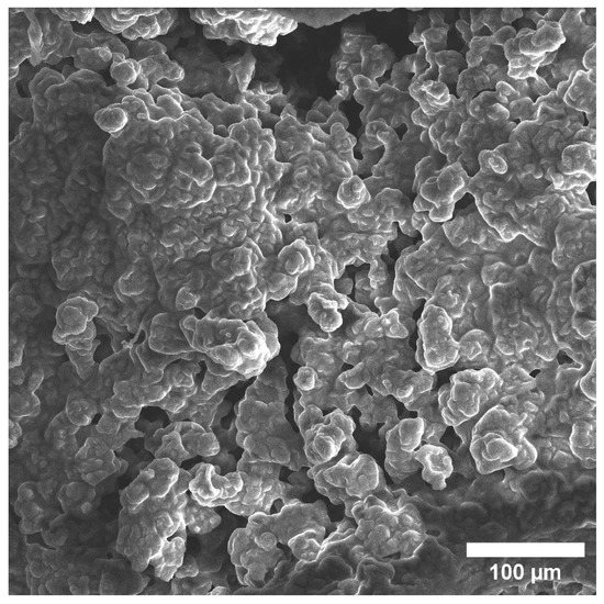 Bone Remodeling Interaction with Magnesium Alloy Implants Studied by ...