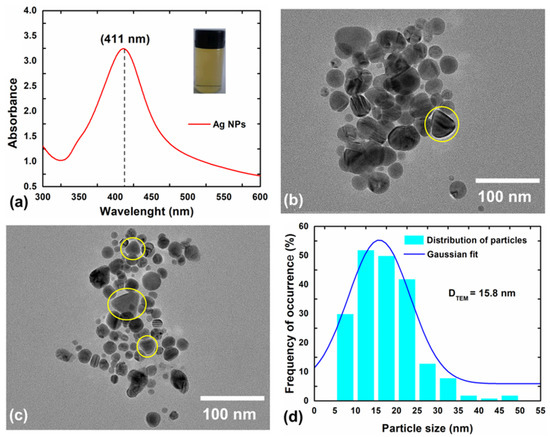 Exploiting the Physicochemical and Antimicrobial Properties of PHB/PEG ...