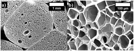 Analysis of Active and Passive Deformation of Expanded Polystyrene Foam ...