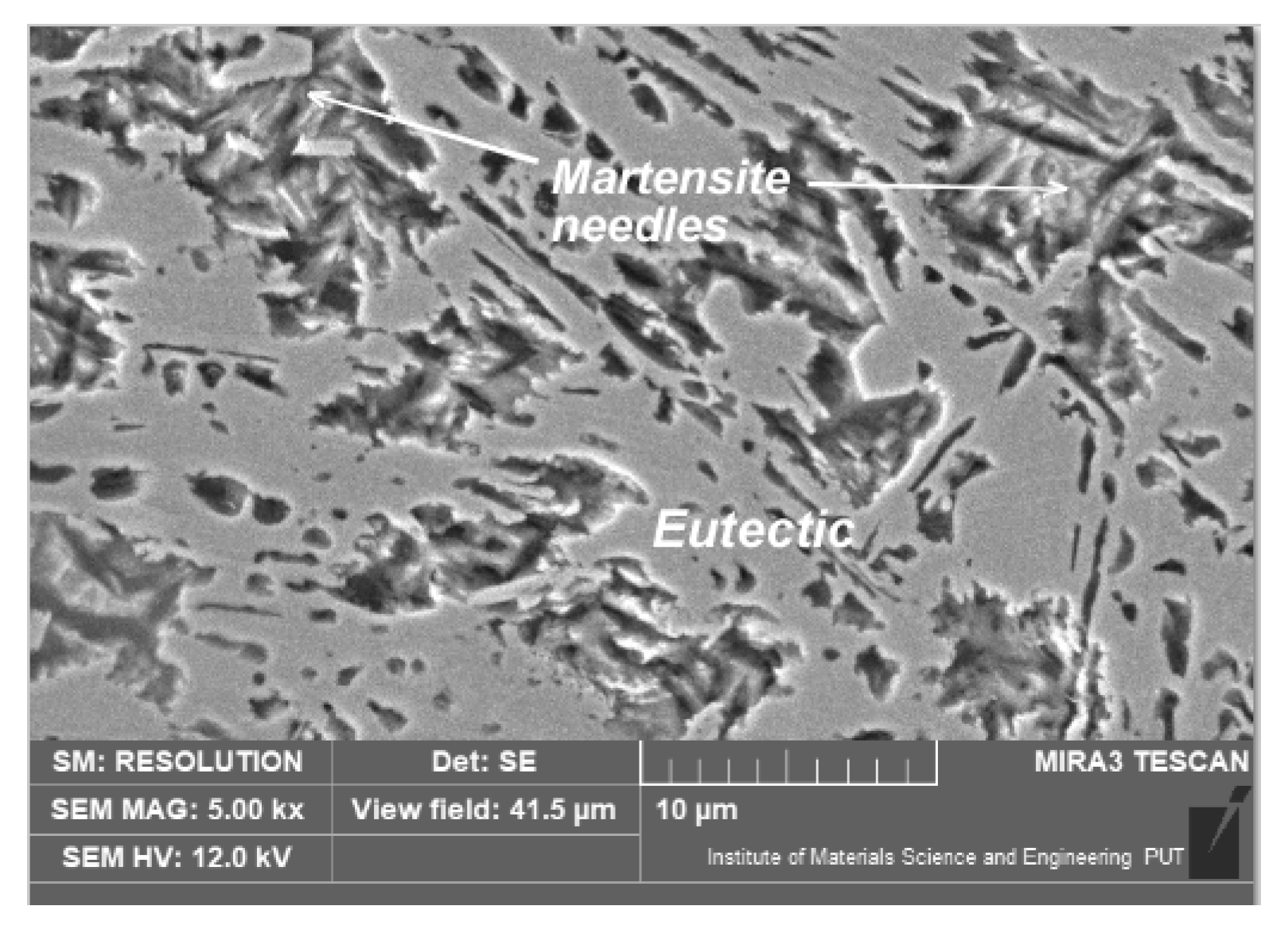 The Comparison of the Effects of Nodular Cast Iron Laser Alloying with ...