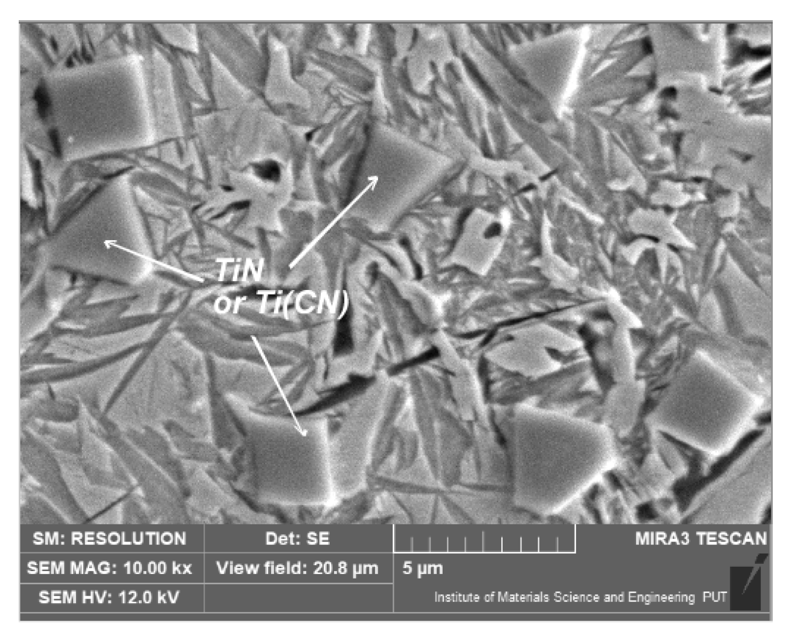 The Comparison of the Effects of Nodular Cast Iron Laser Alloying with ...