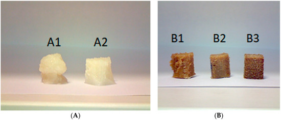 Development and Characterization of PBSA-Based Green Composites in 3D ...