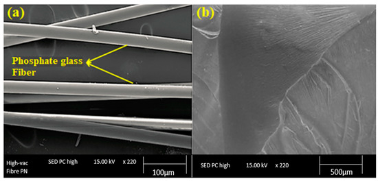 Development and Characterization of Phosphate Glass Fibers and Their ...