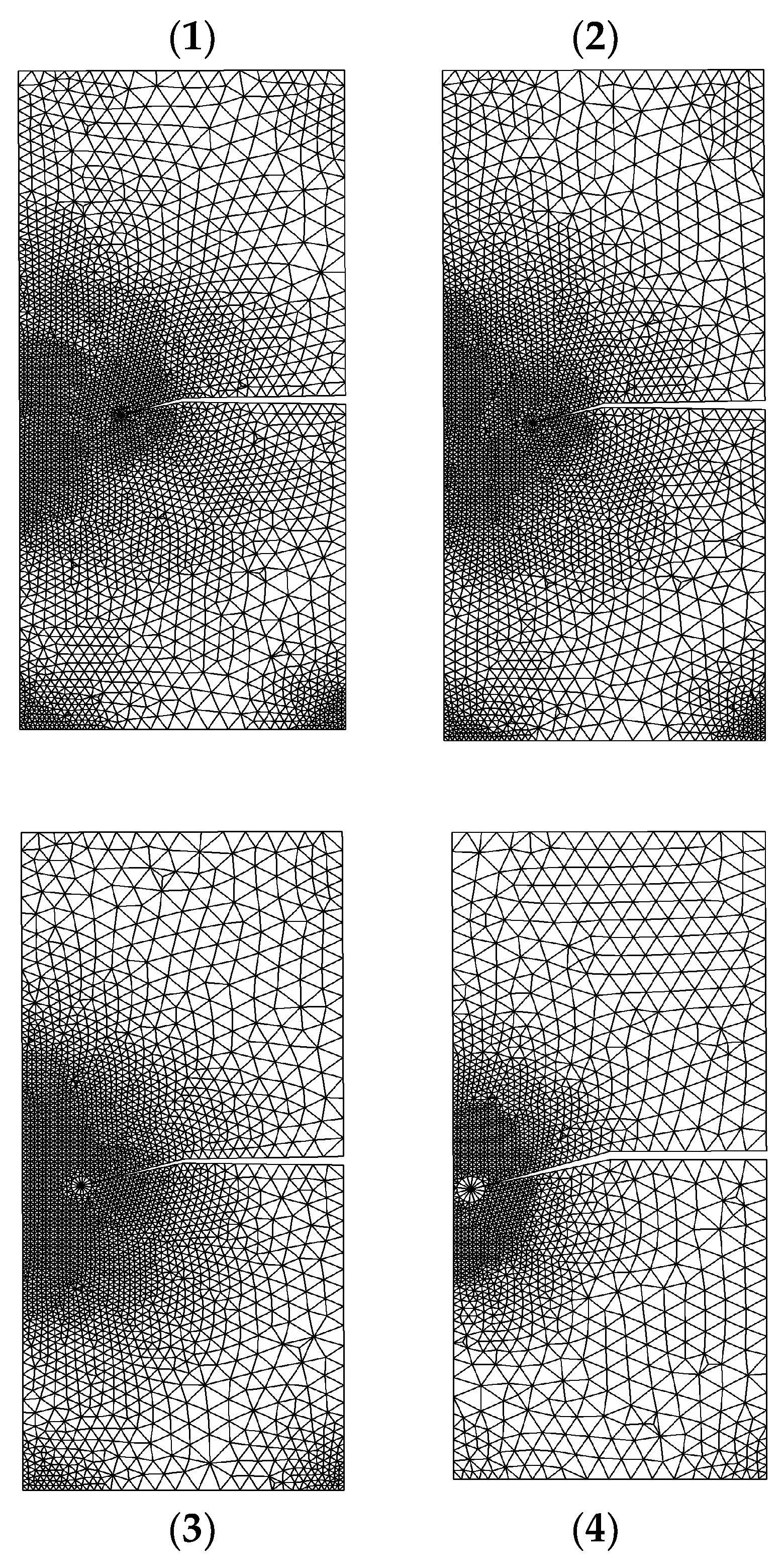 Adaptive Finite Element Modeling of Linear Elastic Fatigue Crack Growth