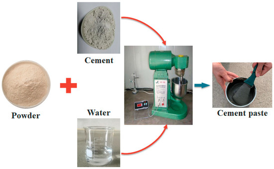 Surface Properties of Eggshell Powder and Its Influence on Cement Hydration