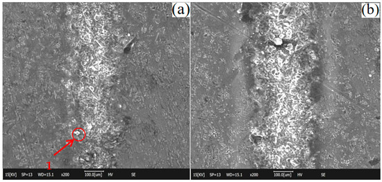 Mechanism Analysis of Nanosecond Pulse Laser Etching of SiCp/Mg Composites