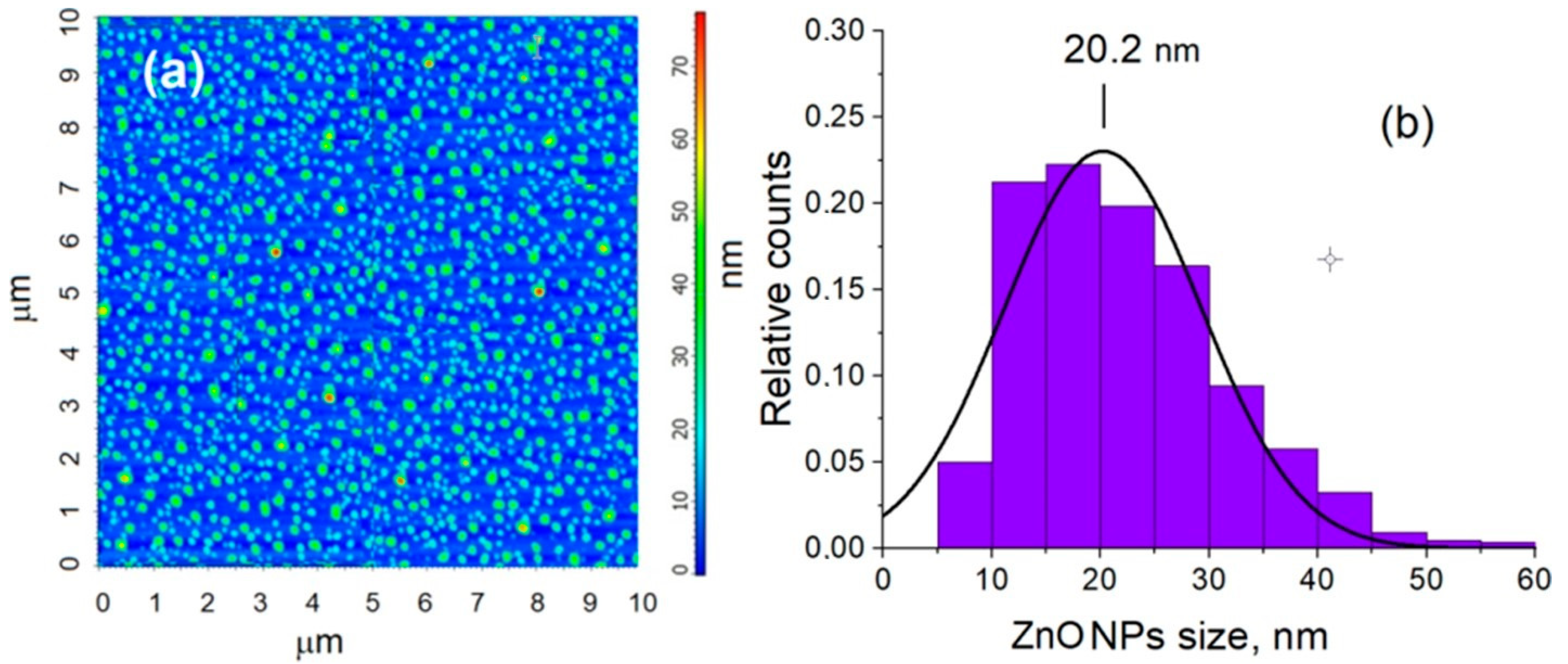 Influence of TiO2 and ZnO Nanoparticles on α-Synuclein and β-Amyloid ...