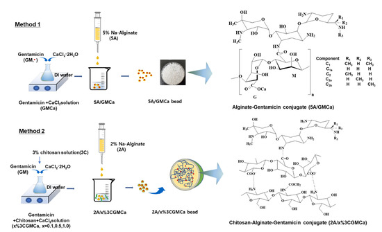 Controlled Drug Release Using Chitosan-Alginate-Gentamicin Multi-Component Beads