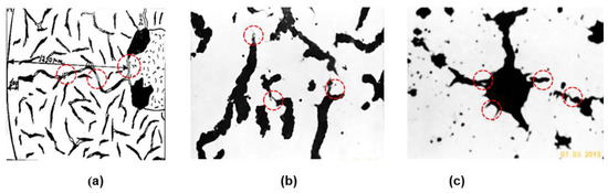 Graphite Nodularity Evaluation in High-Si Ductile Cast Irons