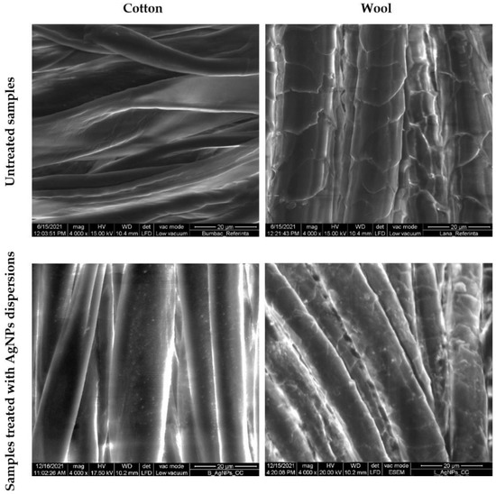 Design of Green Silver Nanoparticles Based on Primula Officinalis ...