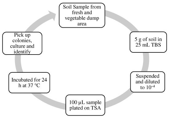 Self-Healing Bio-Concrete Using Bacillus subtilis Encapsulated in Iron ...