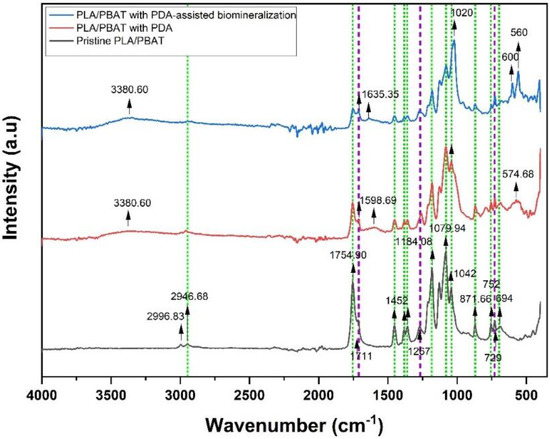 Preparation and Characterization of Porous Poly(Lactic Acid)/Poly ...
