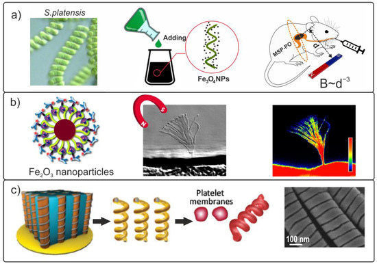 Bio-Inspired Micro- and Nanorobotics Driven by Magnetic Field