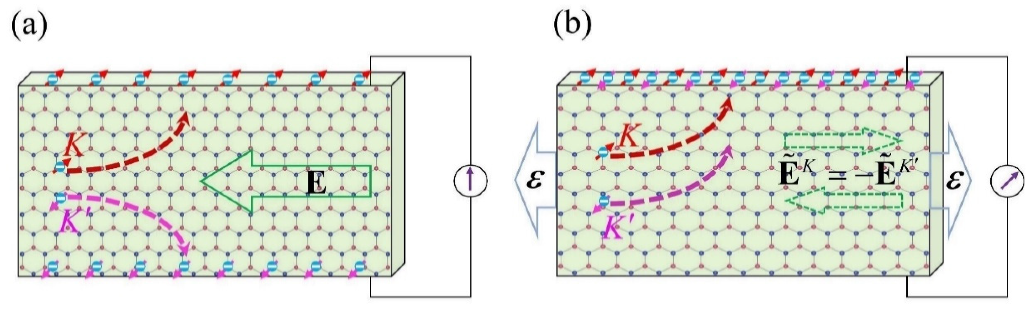 Bond-Orbital-Resolved Piezoelectricity in Sp2-Hybridized Monolayer ...