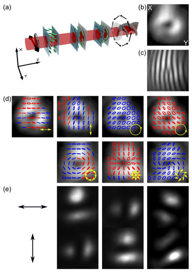 A Gaussian to Vector Vortex Beam Generator with a Programmable State of ...