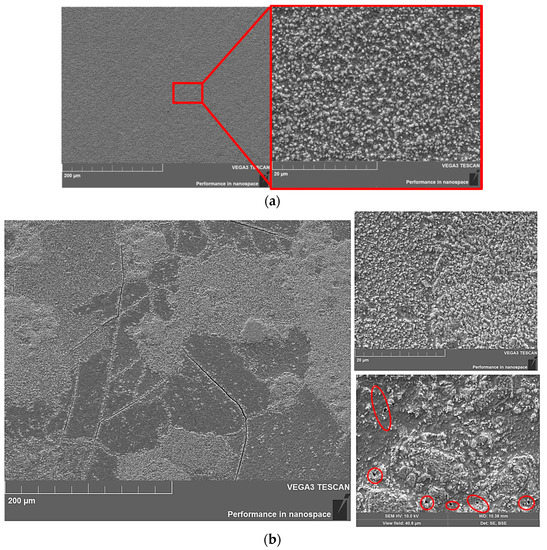 Influence of the Carbidized Tungsten Surface on the Processes of ...