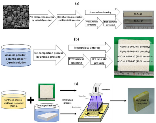 Influence of Fabrication Method and Surface Modification of Alumina ...