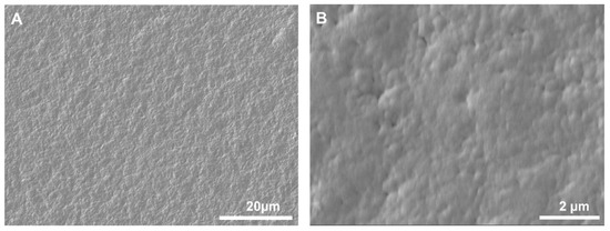 Superrepellent Porous Polymer Surfaces by Replication from Wrinkled ...