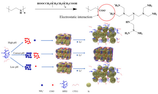 Hyperbranched Polymer Network Based on Electrostatic Interaction for ...