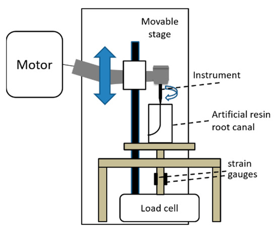 Mechanical Properties and Root Canal Shaping Ability of a Nickel ...
