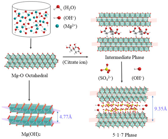 Preparation and Characterization of Novel 5Mg(OH)2·MgSO4·7H2O Whiskers