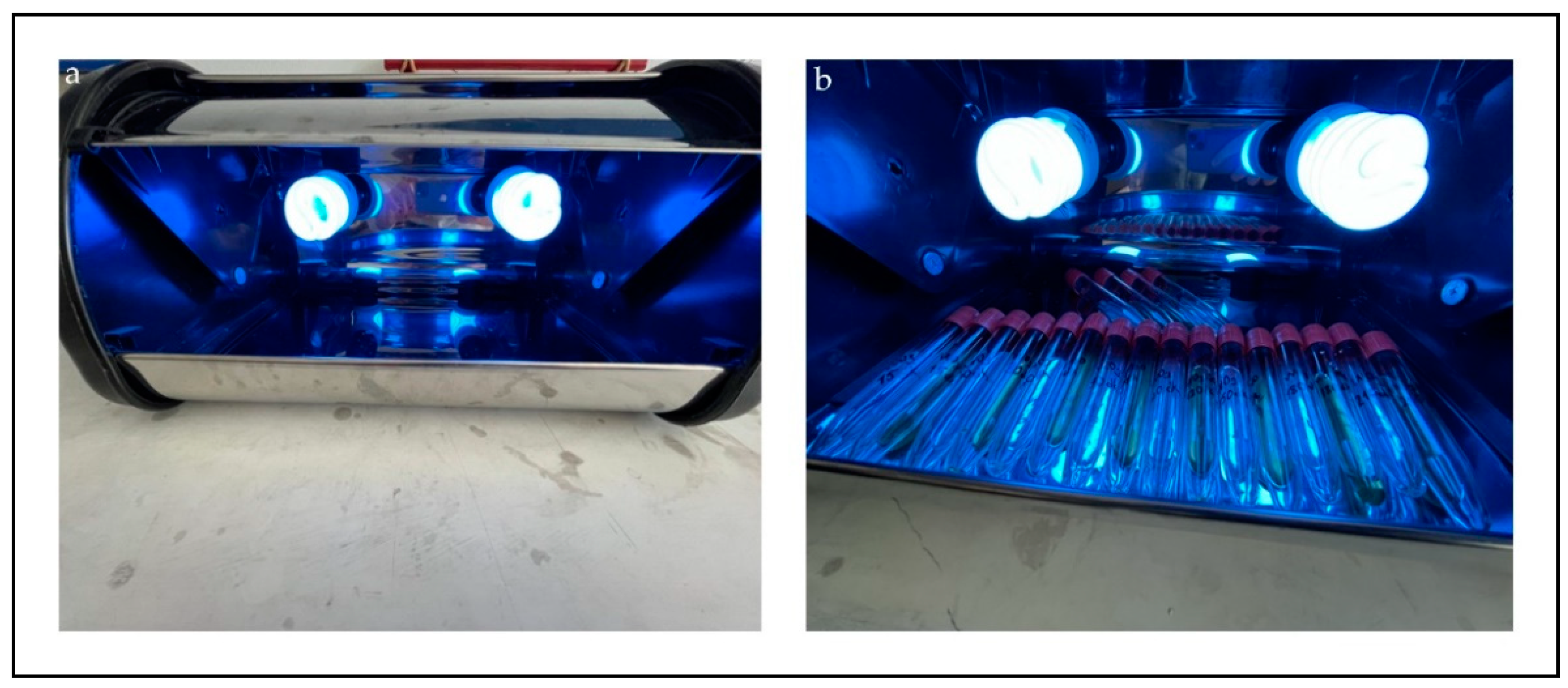 The Effect of Different Morphologies of WO3/GO Nanocomposite on ...
