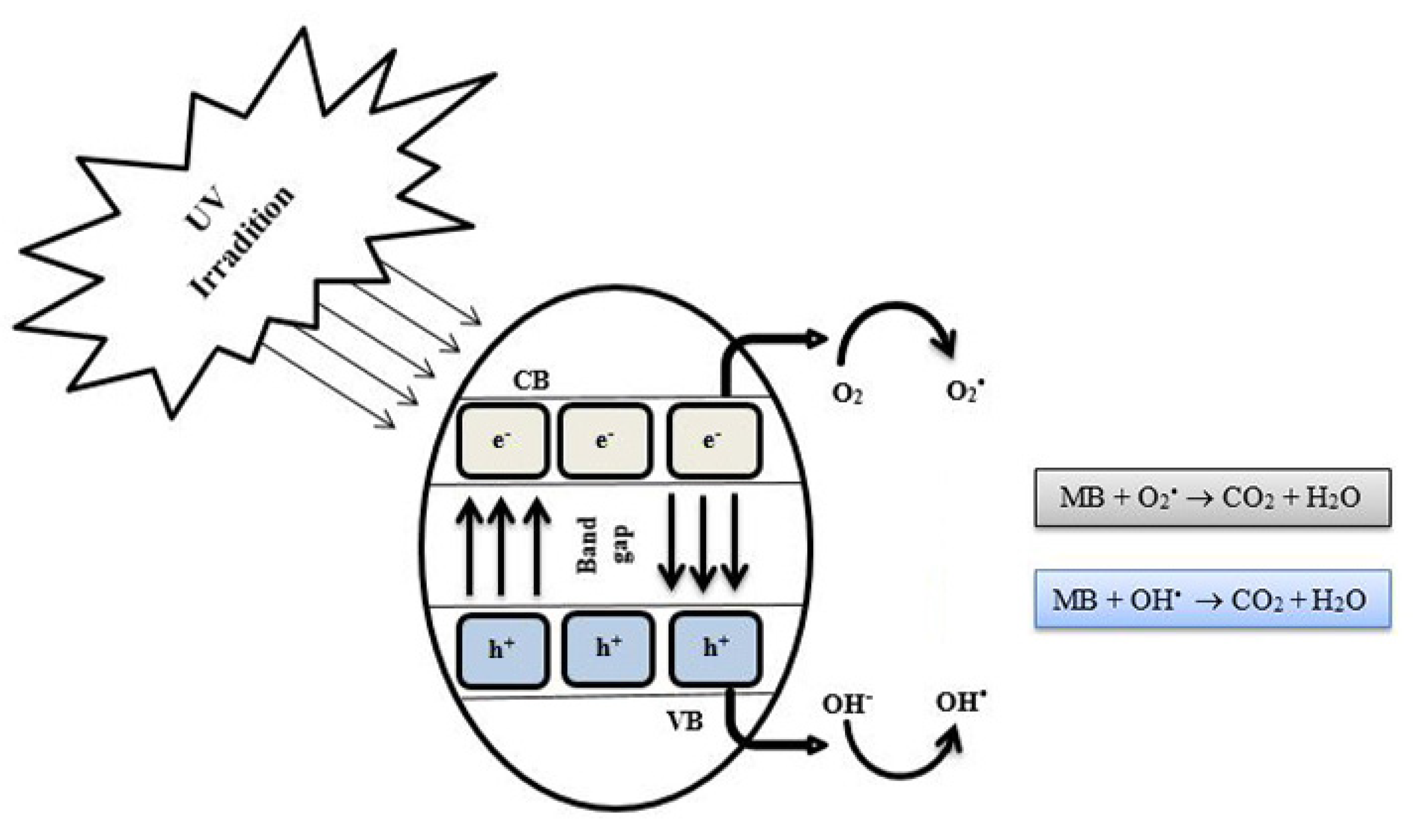 The Effect of Different Morphologies of WO3/GO Nanocomposite on ...