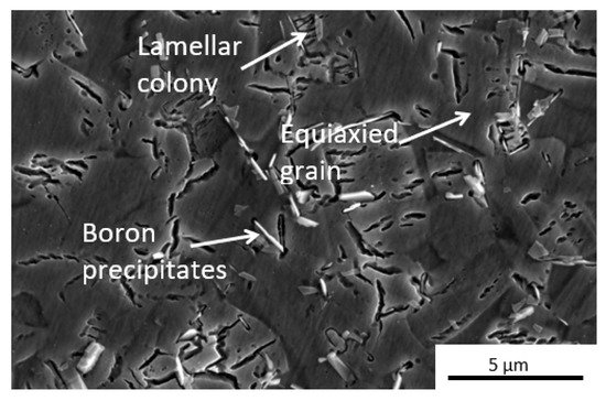 Sliding Wear Behavior of Intermetallic Ti-45Al-2Nb-2Mn-(at%)-0.8vol ...