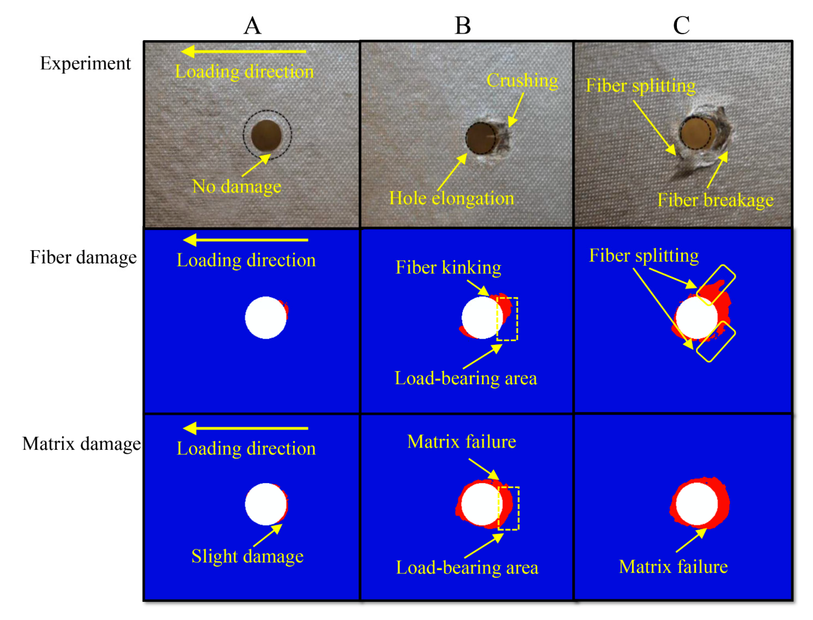 Modeling Progressive Damage and Failure of Single-Lap Thin-Ply-Laminated Composite-Bolted Joint ...