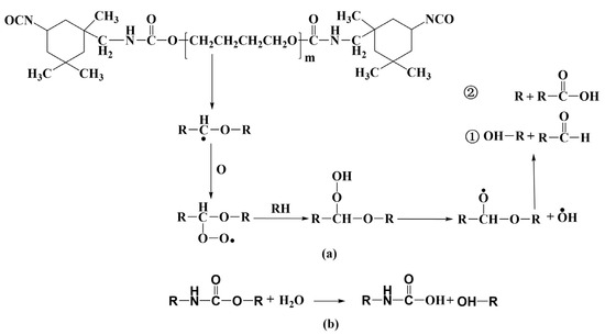 A Study on the Preparation and Cavitation Erosion Mechanism of ...