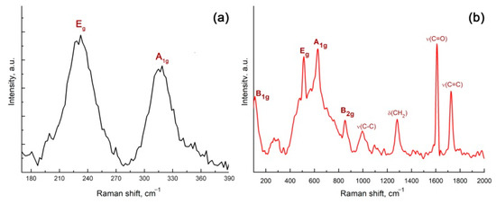 SnS2 Nanosheets as a Template for 2D SnO2 Sensitive Material ...