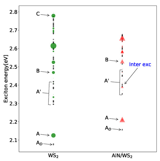 Interlayer and Intralayer Excitons in AlN/WS2 Heterostructure