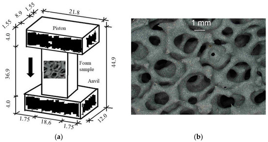 Dynamic Compression of a SiC Foam