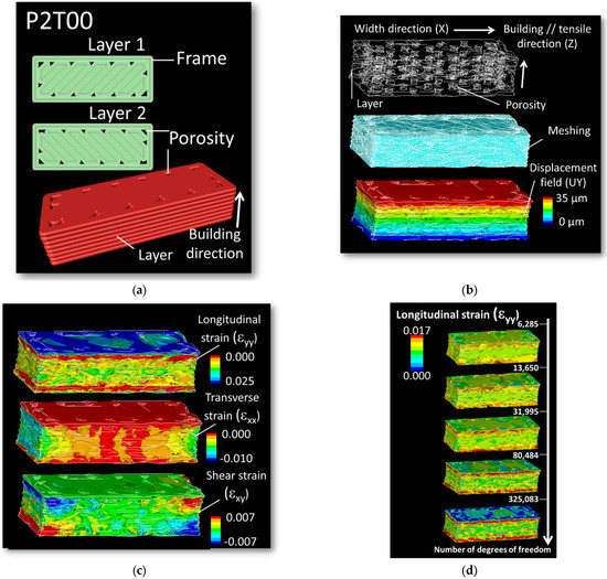 Digital Image Correlation and Finite Element Computation to Reveal Mechanical Anisotropy in 3D ...