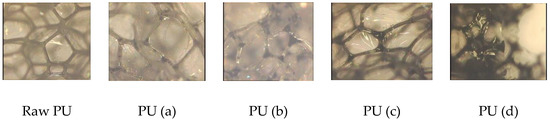 Development of a Hydrophobic Carbon Sponge Nanocomposite for Oil Spill ...