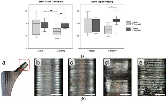 An Overview of the Stability and Fretting Corrosion of Microgrooved ...
