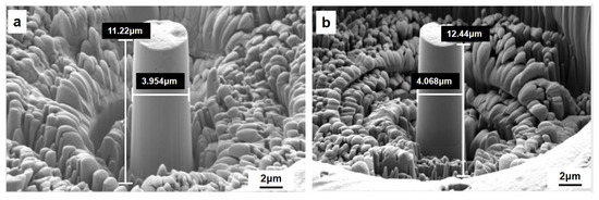 Selective Laser Melting (SLM) Additively Manufactured CoCrFeNiMn High ...