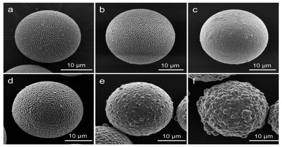 Hollow Silica Nano and Micro Spheres with Polystyrene Templating: A ...