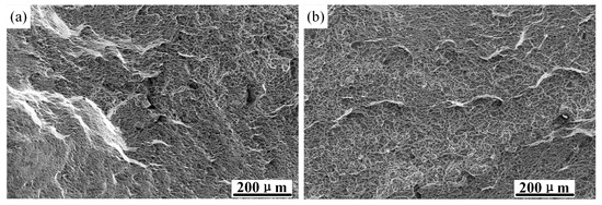 Mechanical Properties and Fracture Behavior of a TC4 Titanium Alloy Sheet